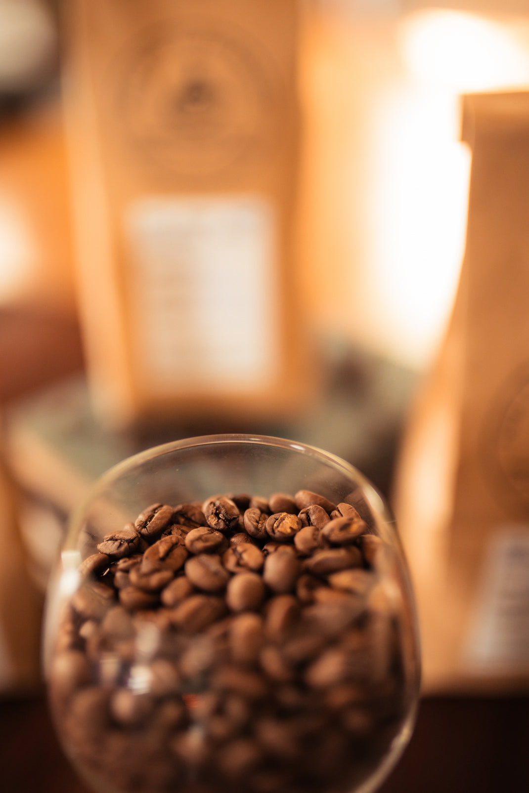 Costa Rica – Perky Pony Coffee Roasters